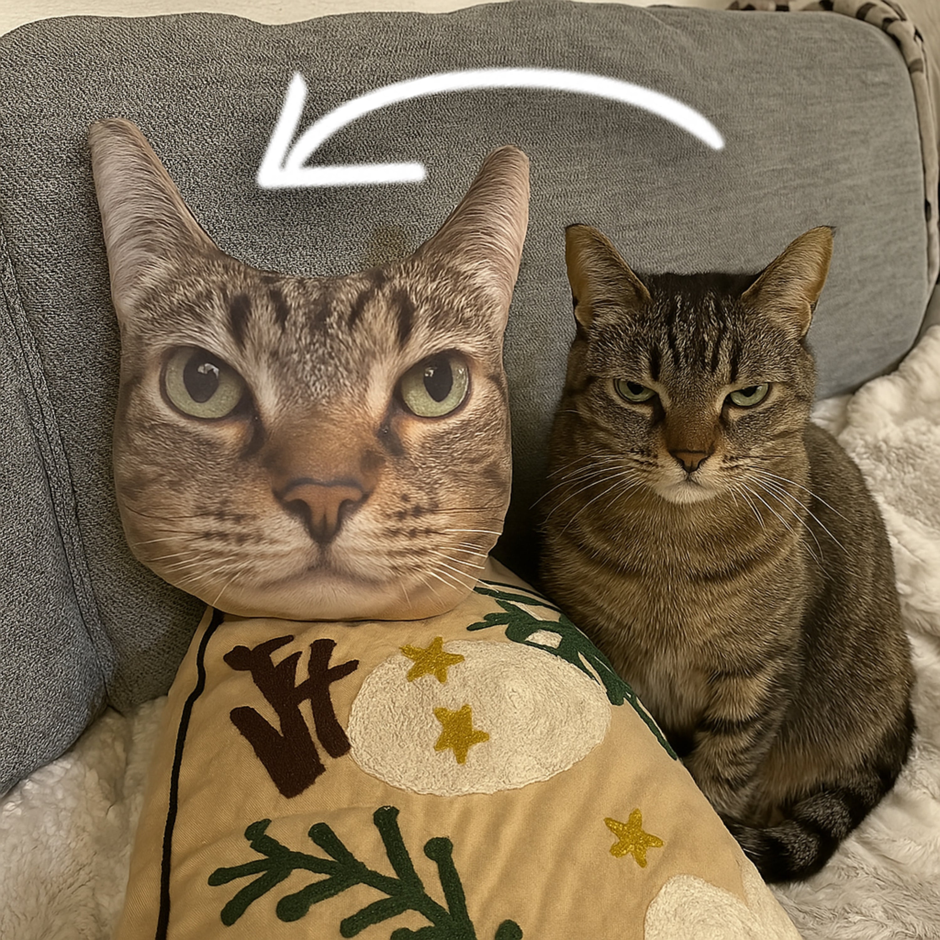 Custom Pet Pillow – Plushara